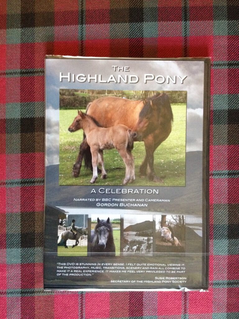 The Highland Pony DVD – The perfect present for all ‘pony people ...